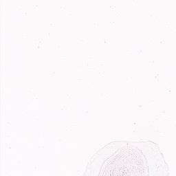 Transgenic Characterization Experiment Details :: Allen Brain Atlas ...